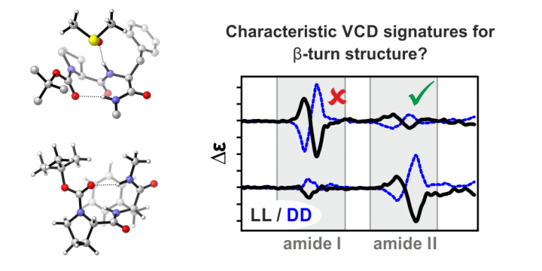 Merten Lab » Secondary structure of a dipeptide model